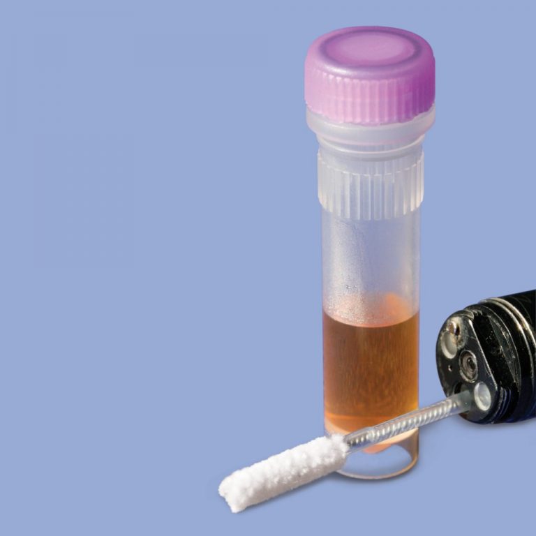 Pereg Pyromol-E - Hauser Medizintechnik